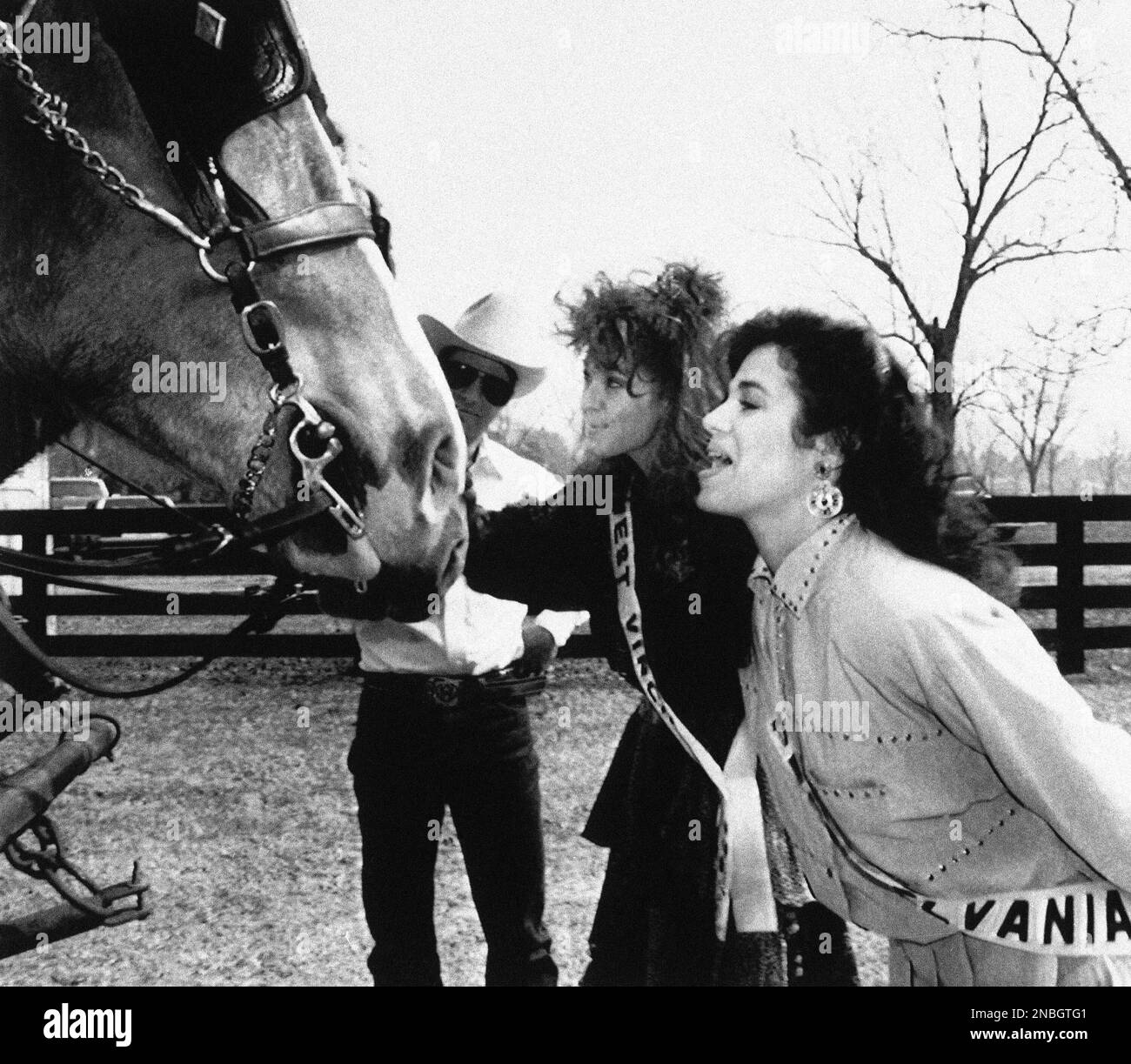 Miss USA contestants Miss West Virginia, Kathy Lynn Eicher, 20, from ...