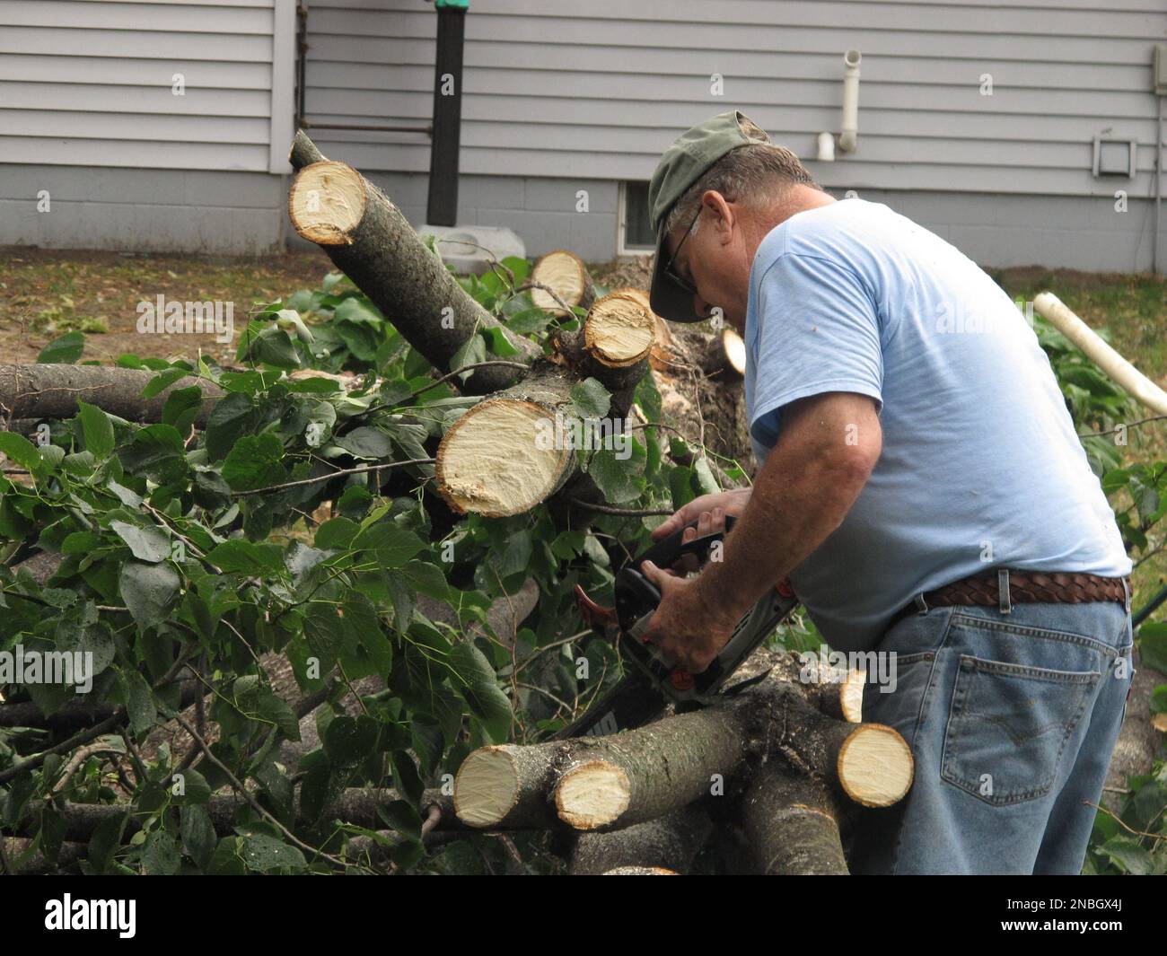 Roger Pointer, of Maxwell, uses a chainsaw Tuesday, July 12, 2011, to ...
