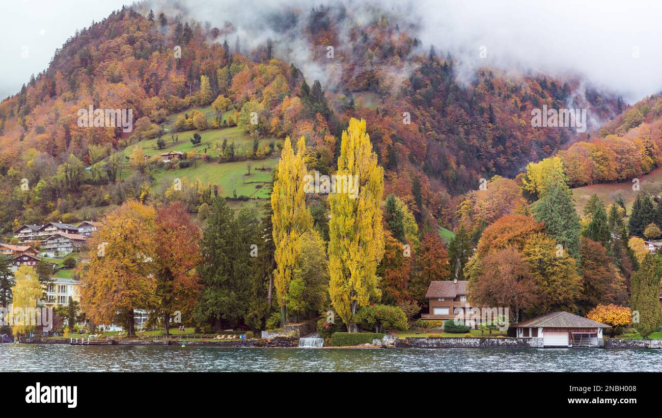 Snow and clouds covered the mountain beside Thun lake in autumn. The ...