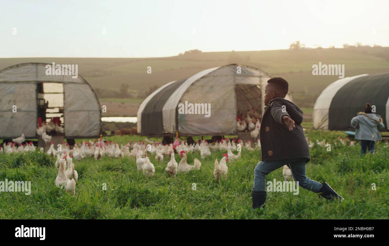 Living on a farm is like having one big playground. a cute little boy ...
