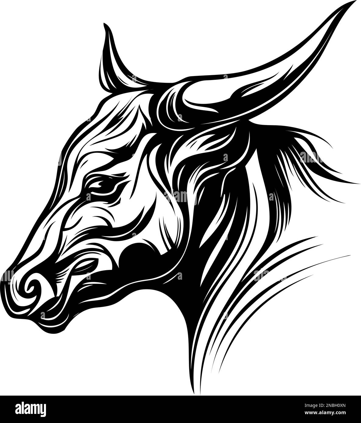 bull - domestic animal, farm hand drawn vector illustration realistic ...