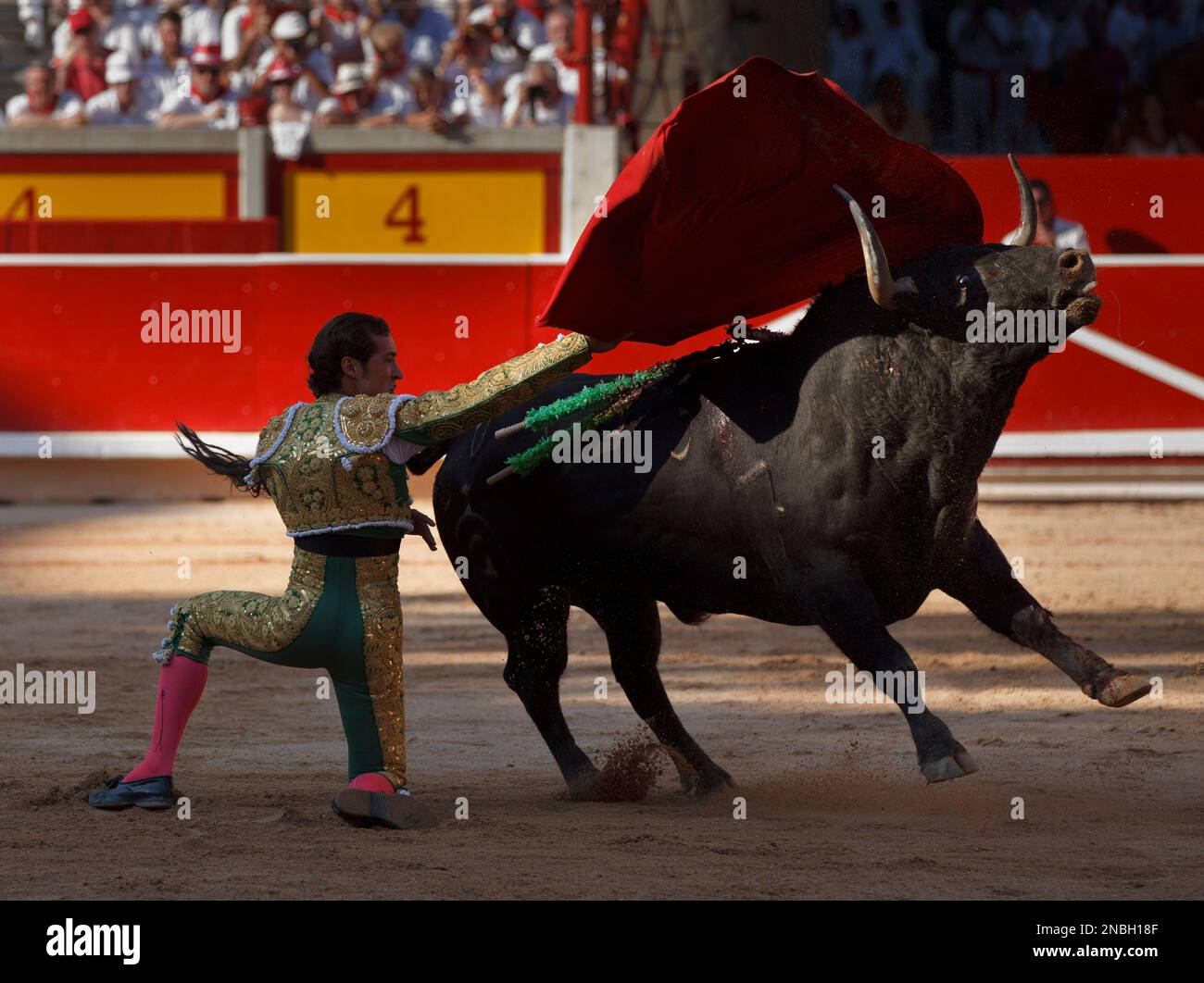 Spanish bullfighter Ivan Fandino performs with a Fuente Ymbro's ranch ...