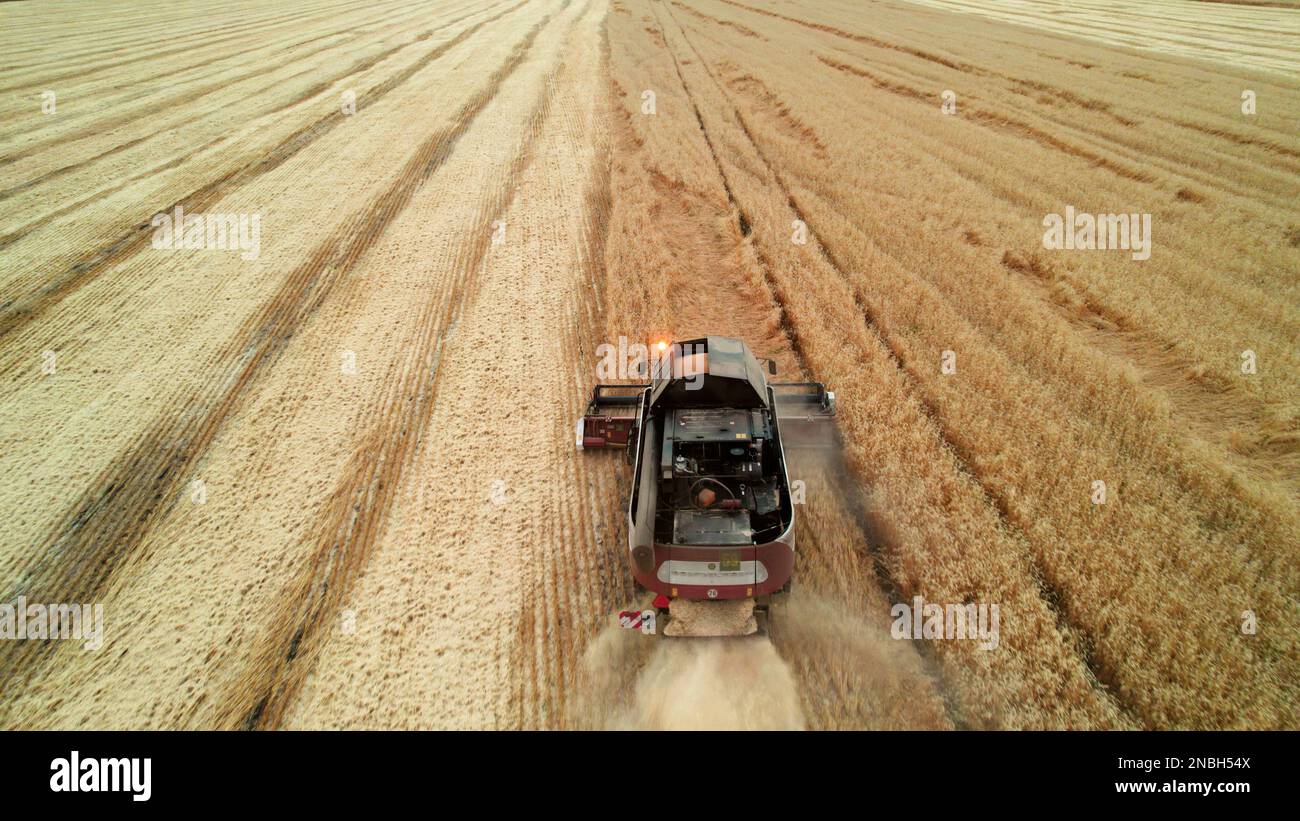 Ufa, Russia; August 23, 2022: Aerial shot from above harvesters ...