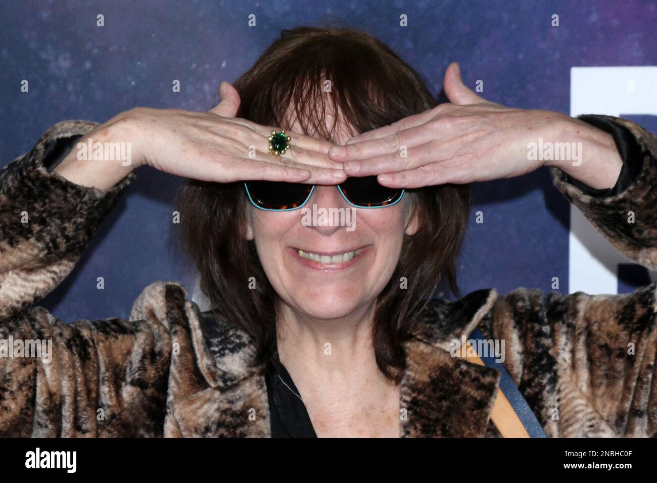 LOS ANGELES - FEB 9: Amanda Plummer at the Picard Season Three Premiere ...