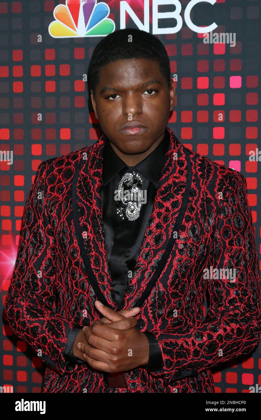 LOS ANGELES - NOV 3: Avery Dixon at the America's Got Talent: All-Stars Red Carpet at CBS Studio ...