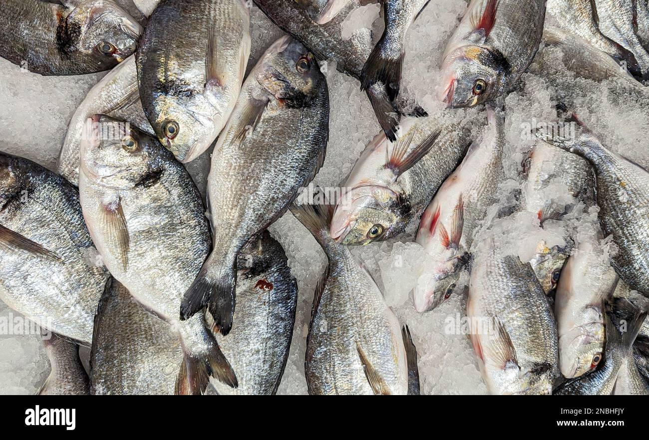 Fresh chilled fish among ice in a supermarket Stock Photo - Alamy