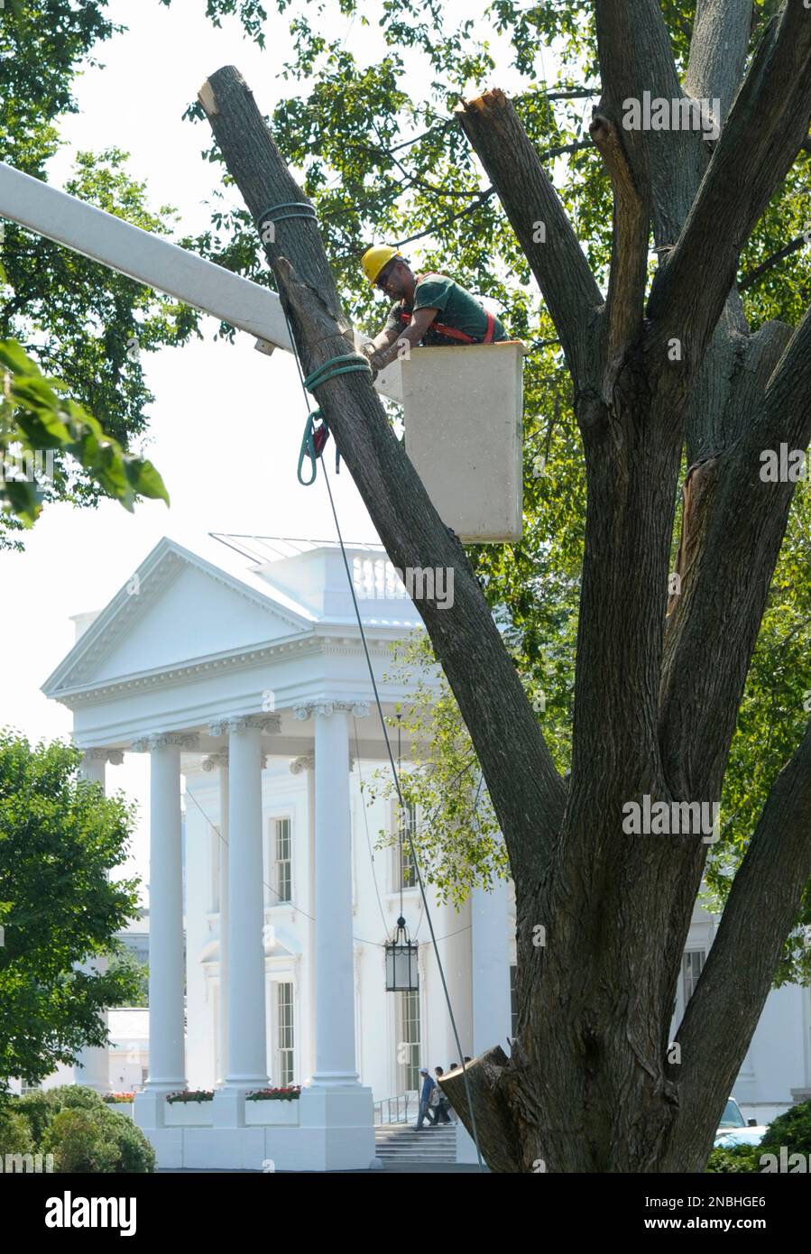 Work continues on cutting down a tree on the North Lawn of the White ...