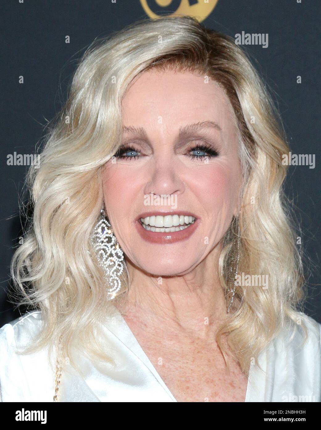 LOS ANGELES - FEB 10: Donna Mills at the 30th Movieguide Awards at the ...