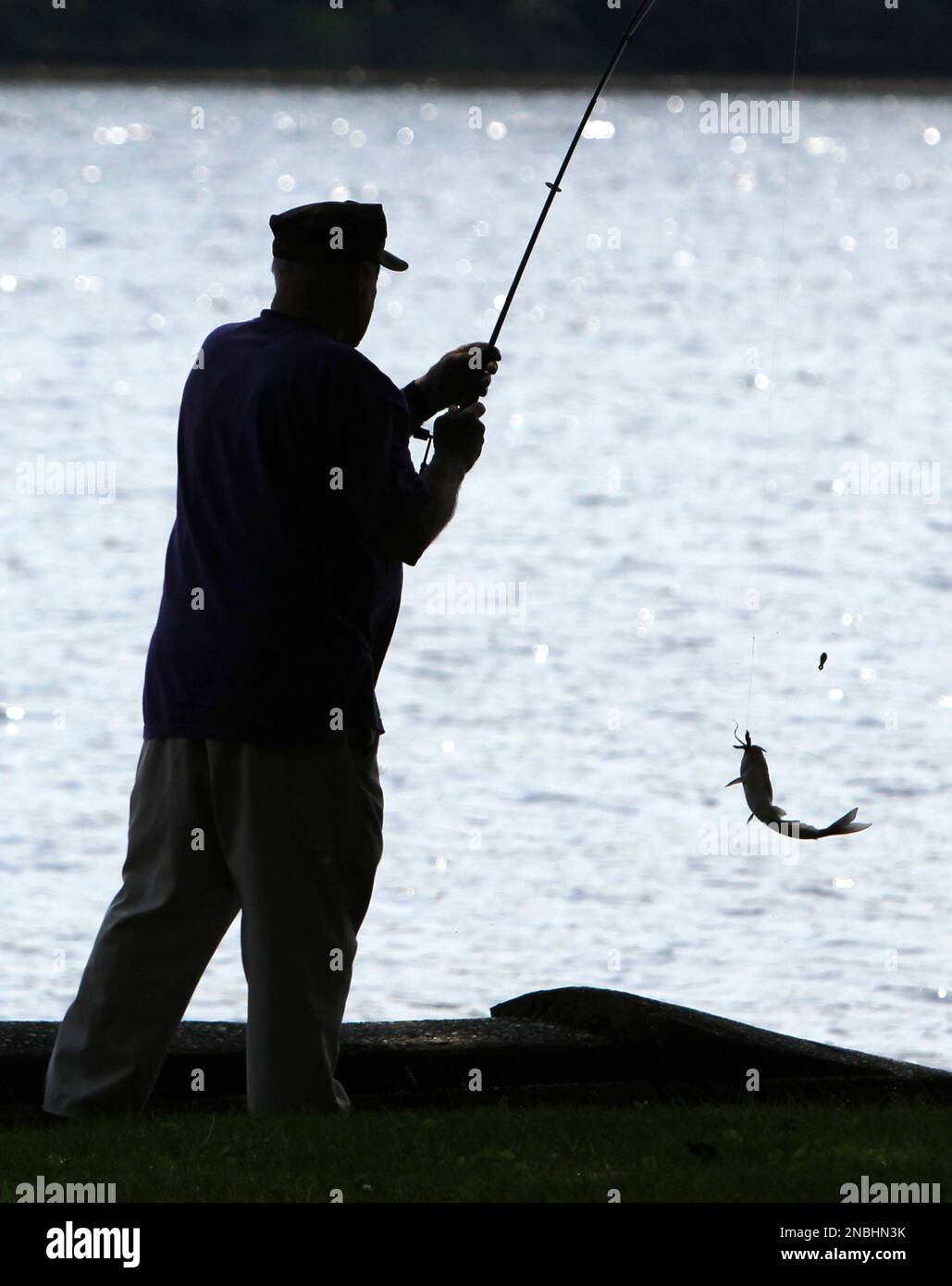 Terry Brady of Colonie, N.Y., reels in a catfish from the Hudson River ...