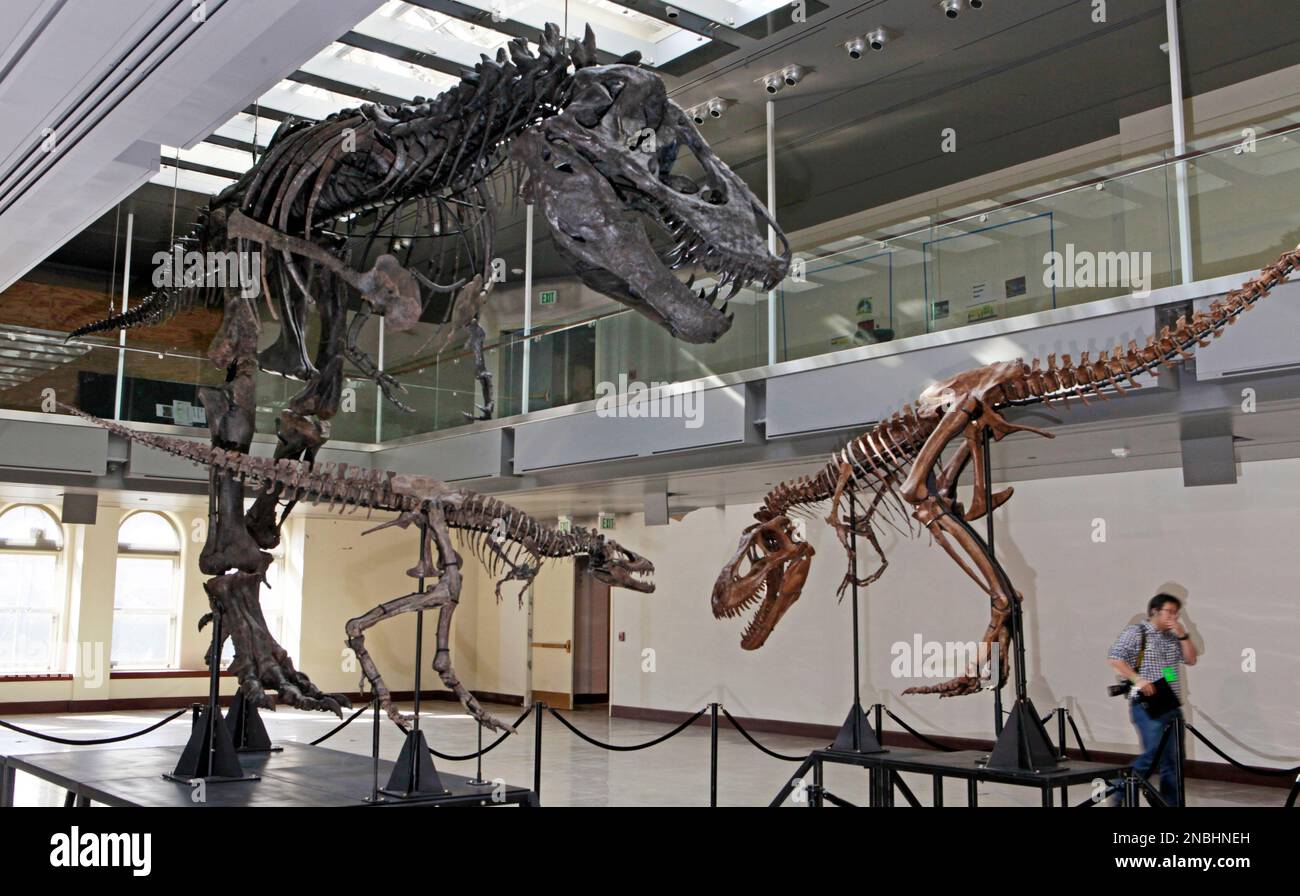 FILE In this Jan. 19,2011 file photo showing the preview of a ...