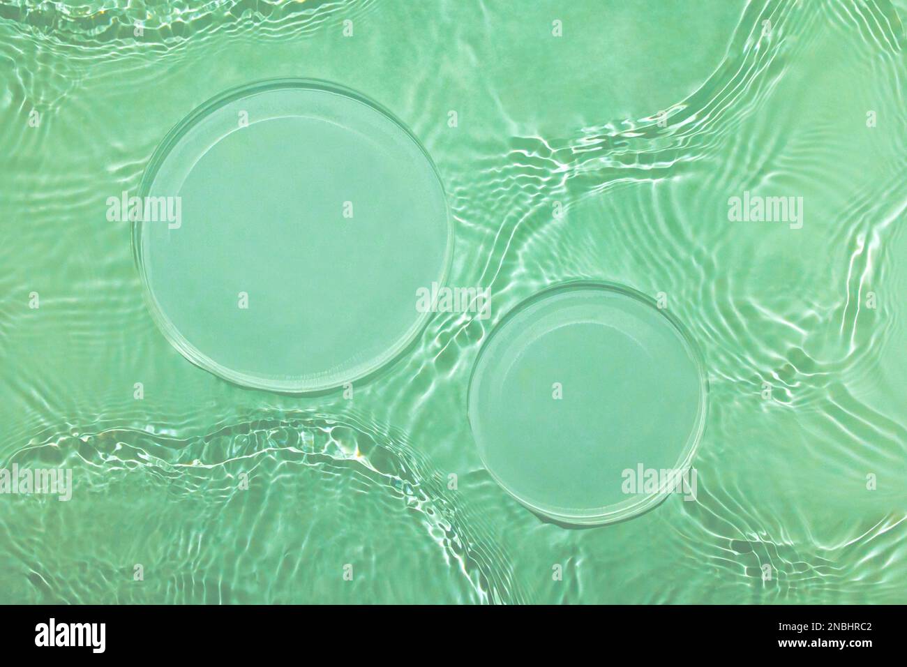 Two empty circle podiums on transparent green water background Stock ...