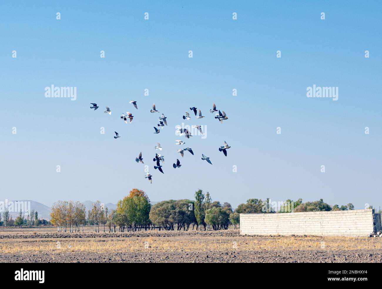 Flying over mountains forest hi-res stock photography and images - Alamy