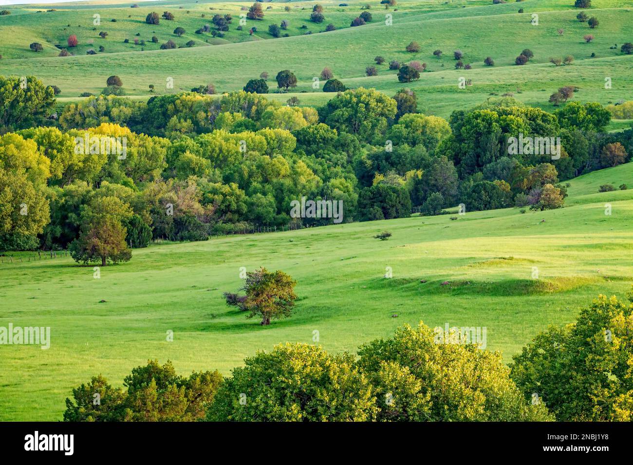 An aerial view of greenery field with dense trees Stock Photo - Alamy