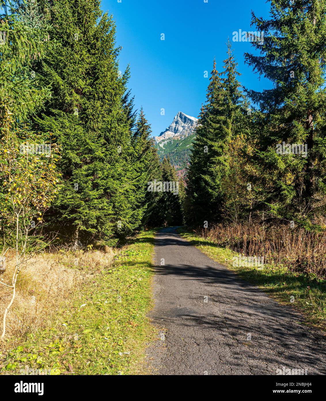Krivan mountain peak from Koprova dolina valley in High Tatras ...