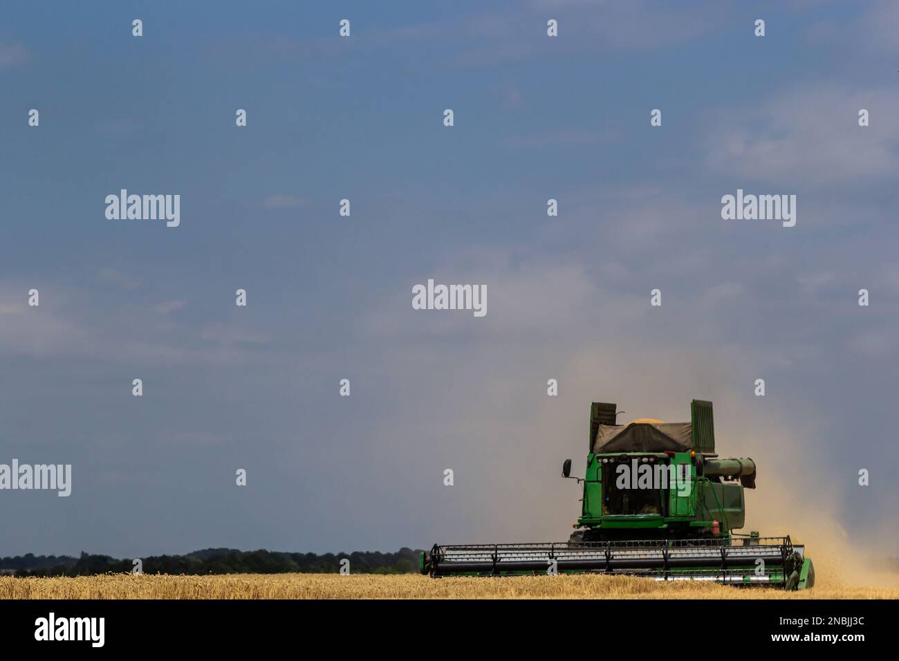 Photo of combine harvester that is harvesting wheat with dust straw in ...
