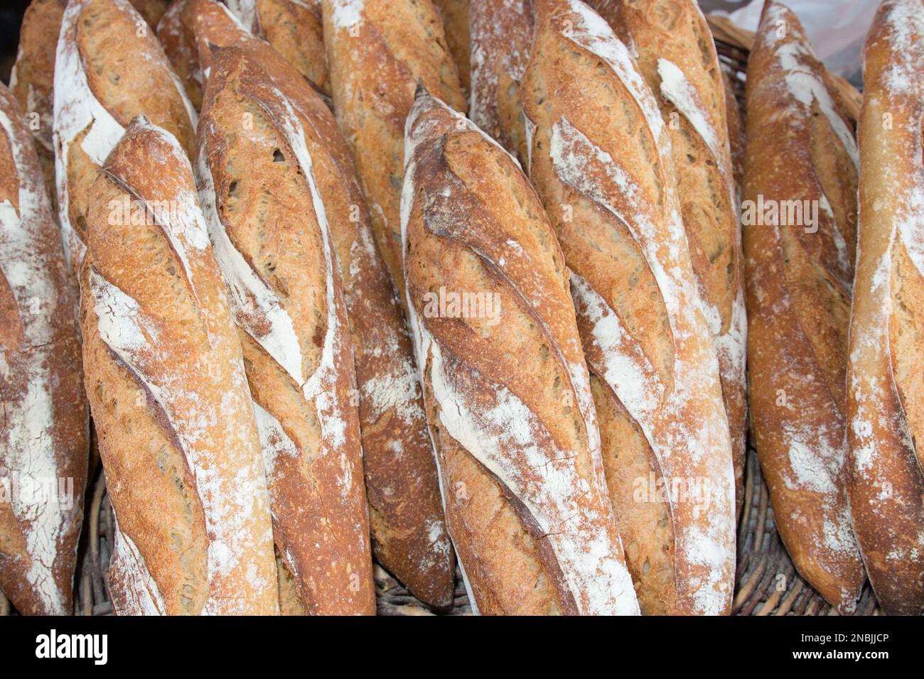 French bread sticks freshly out of the oven on wallpaper background ...