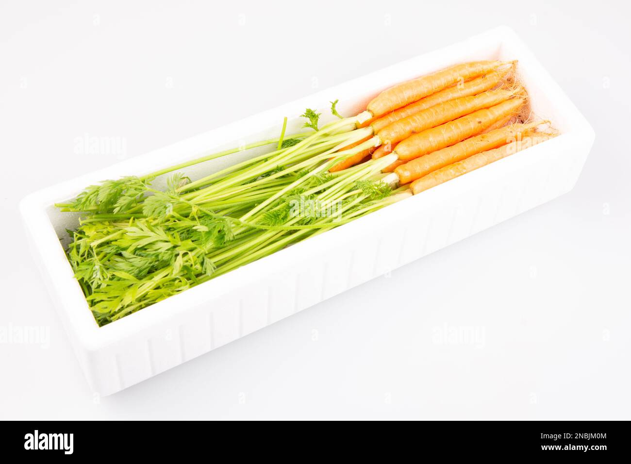 full carrot in white polystyrene packaging Stock Photo - Alamy