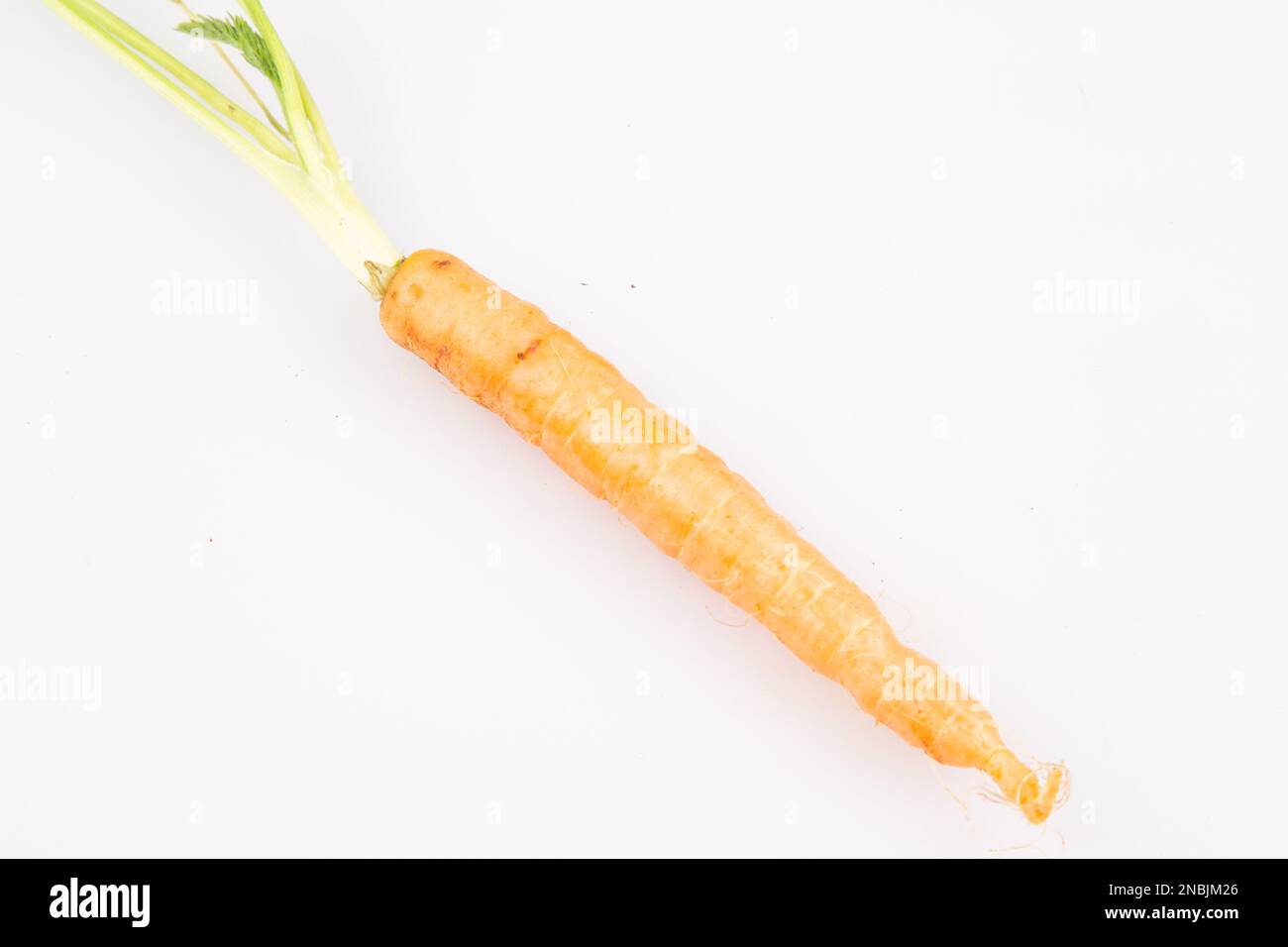 single little carrot for food snack in white background Stock Photo - Alamy
