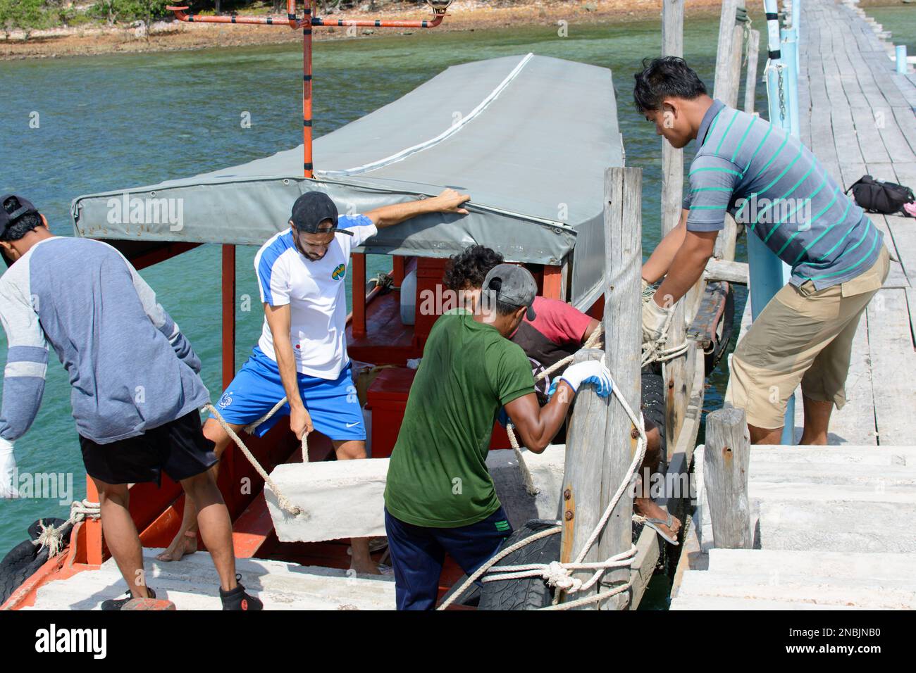Marine biologists and volunteers at Marine Conservation Cambodia ...