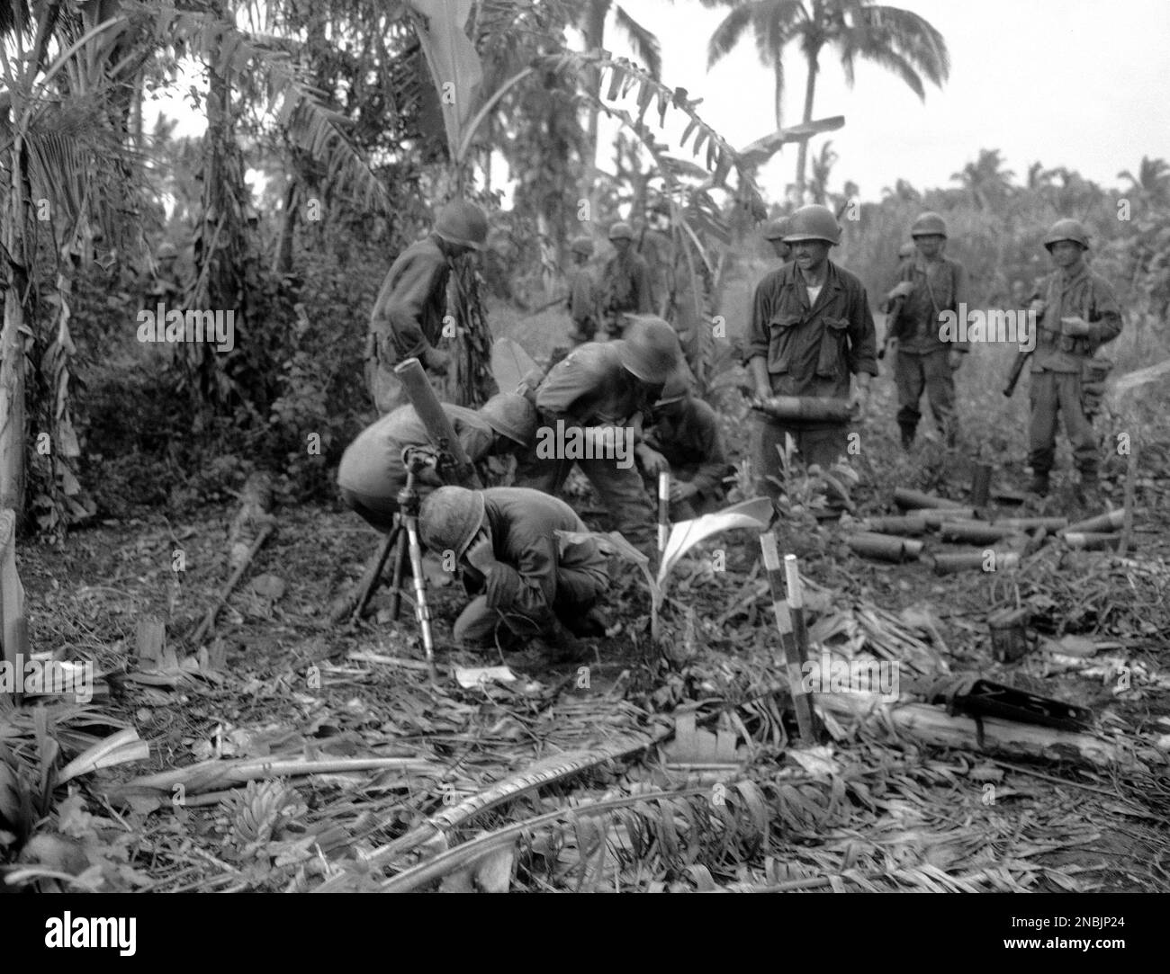 Despite heavy rain a mortar squad of the 7th Infantry Division fires an ...