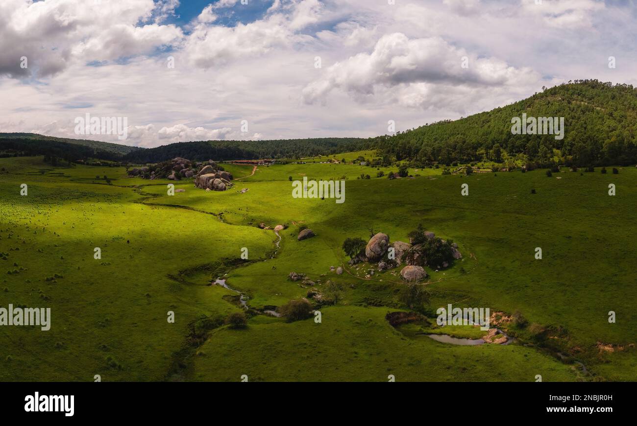 An aerial view of greenery field with dense trees Stock Photo - Alamy