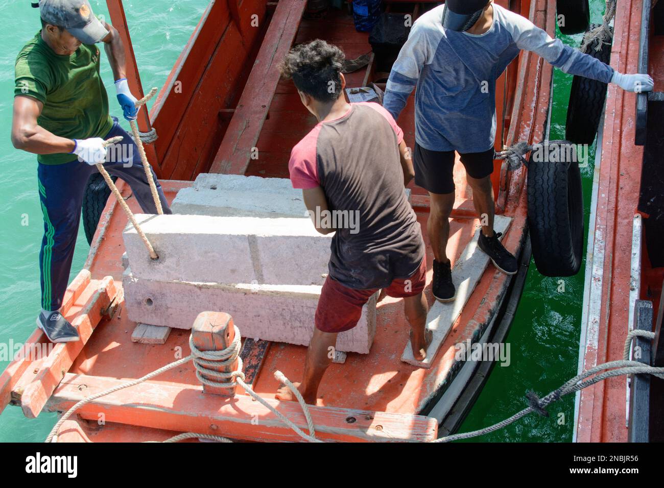 Marine biologists and volunteers at Marine Conservation Cambodia ...