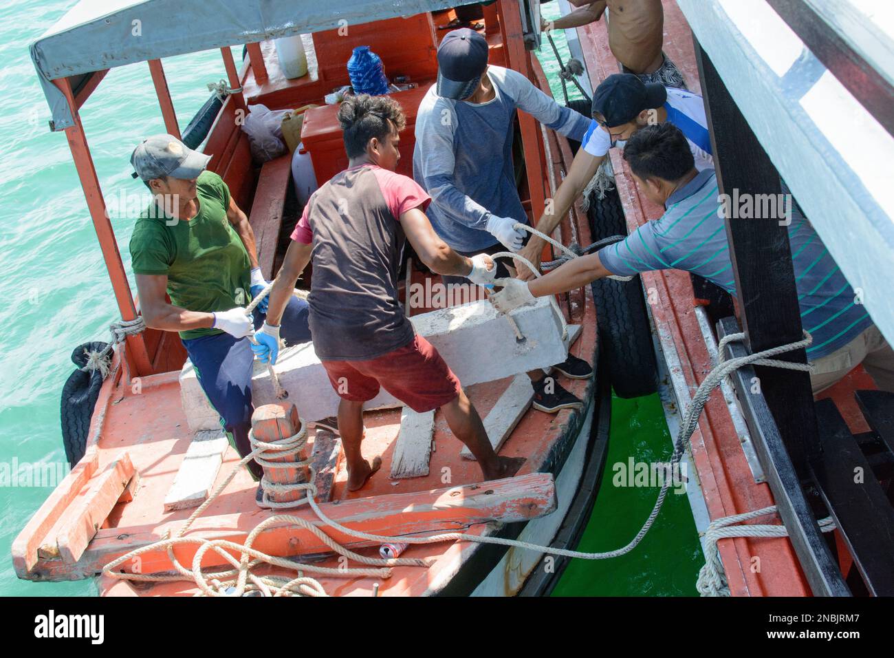 Marine biologists and volunteers at Marine Conservation Cambodia ...