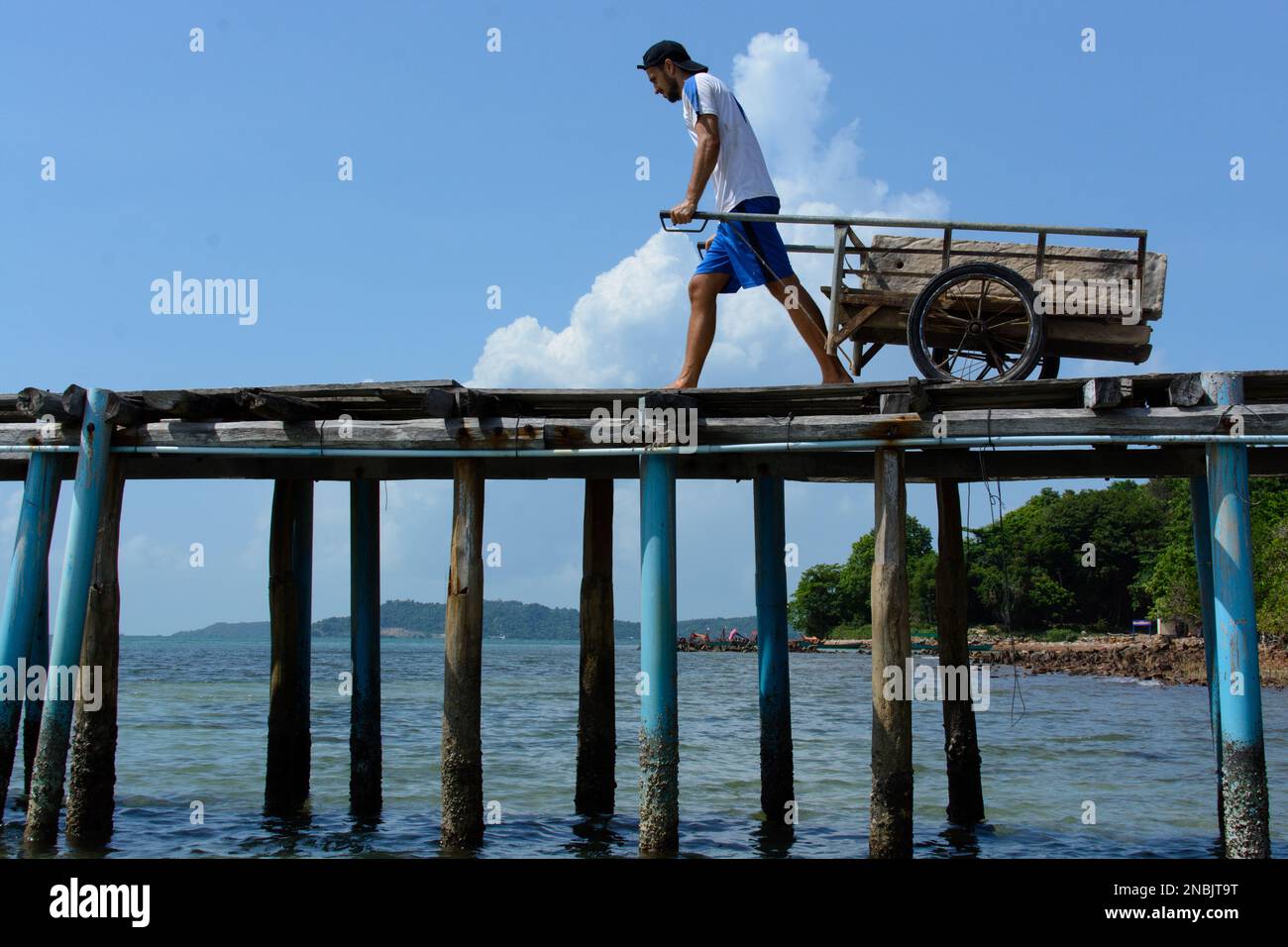 Marine biologists and volunteers at Marine Conservation Cambodia ...