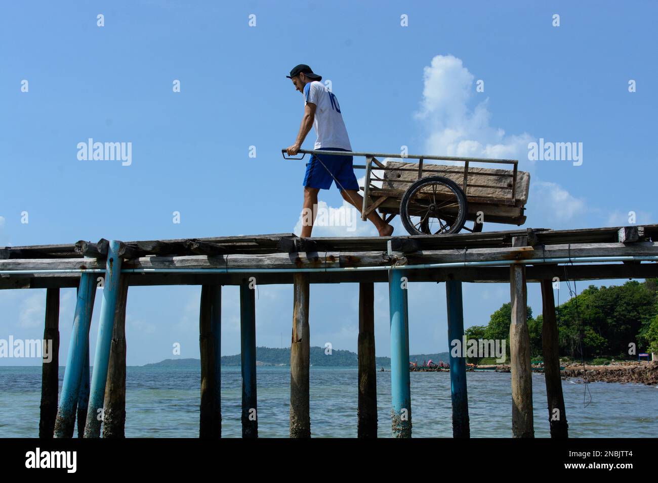 Marine biologists and volunteers at Marine Conservation Cambodia ...