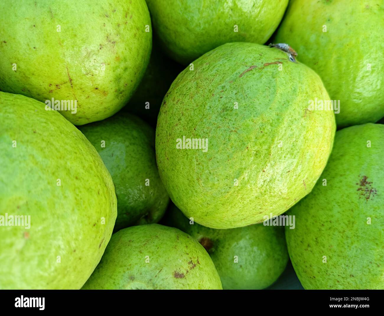 A top view of a stock of a fresh guava fruit Stock Photo - Alamy