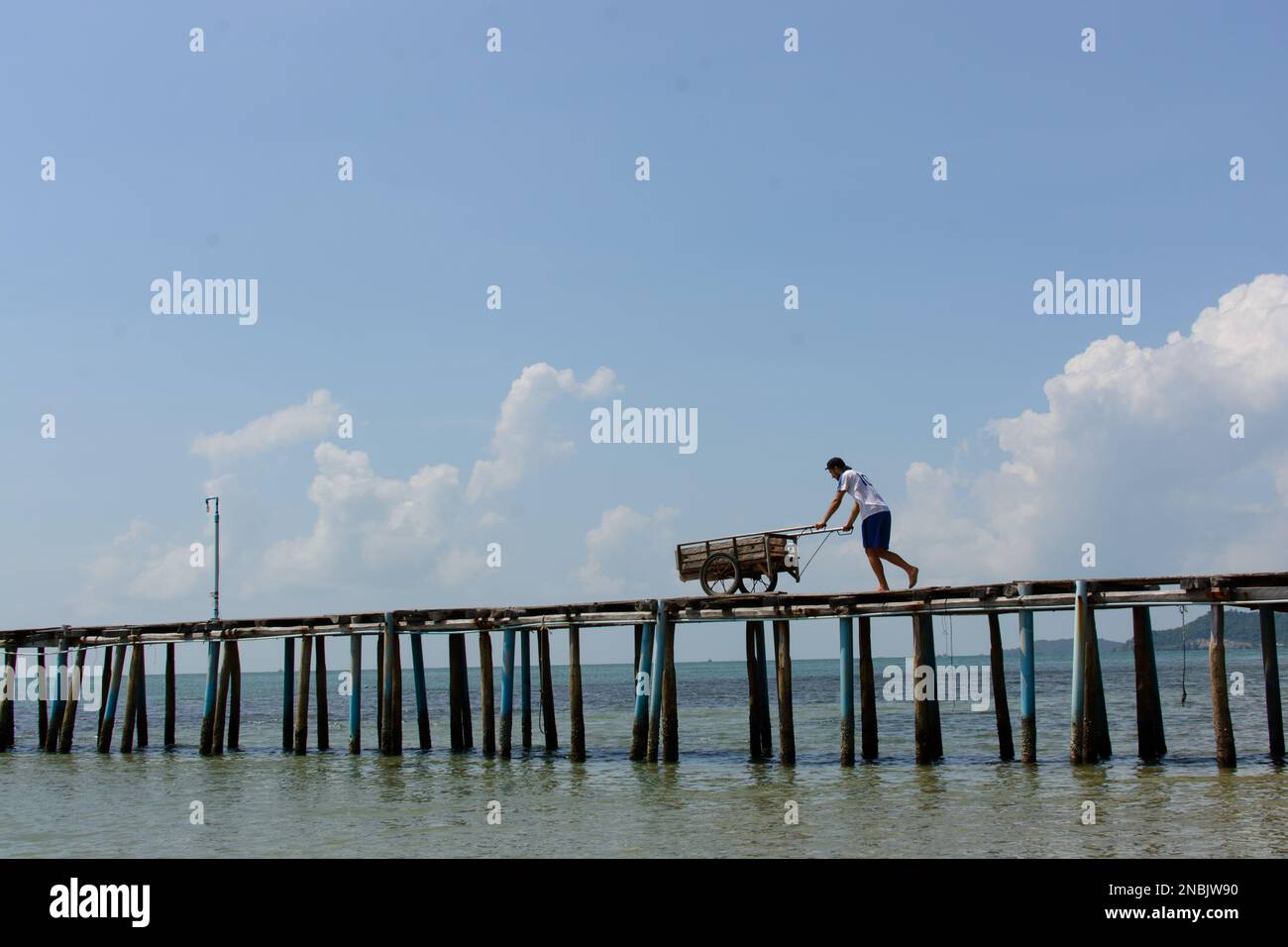 Marine biologists and volunteers at Marine Conservation Cambodia ...