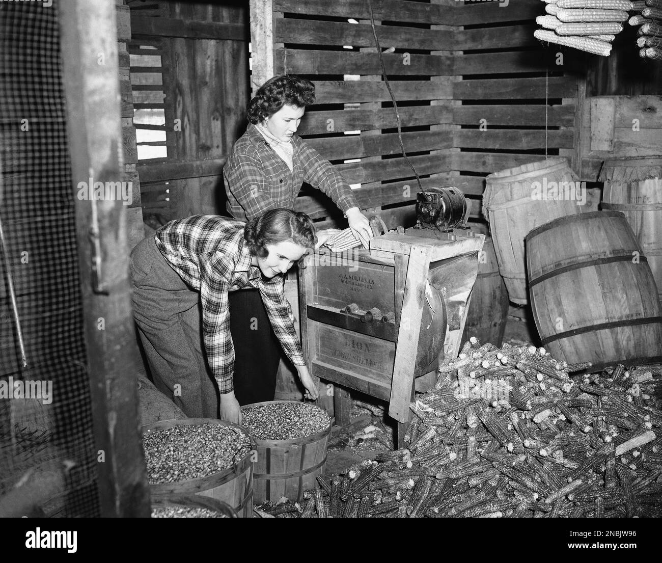 Beatrice Lieb, of Hartford, Conn., and Donna Watkins, of Worcester ...