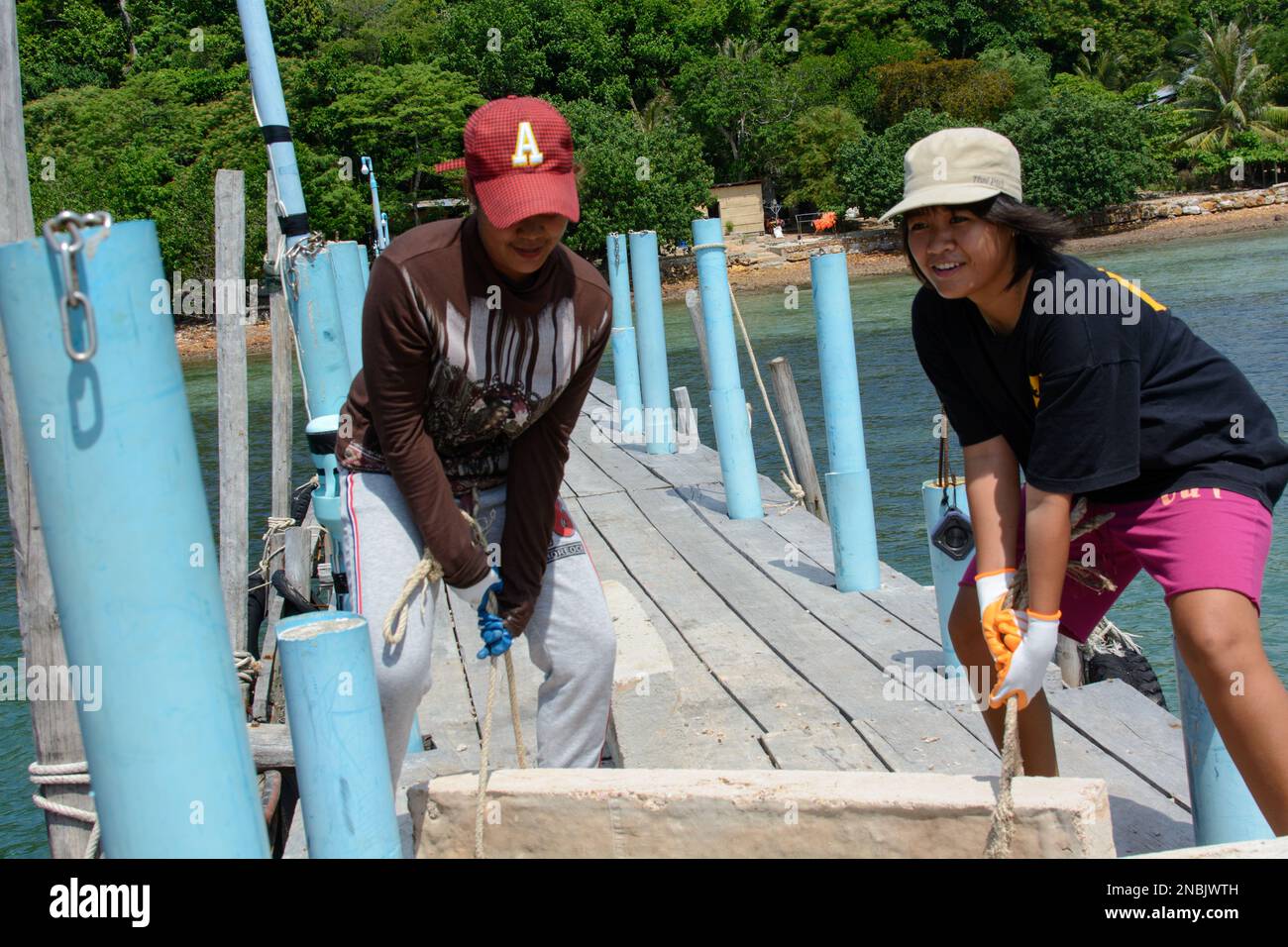 Marine biologists and volunteers at Marine Conservation Cambodia ...