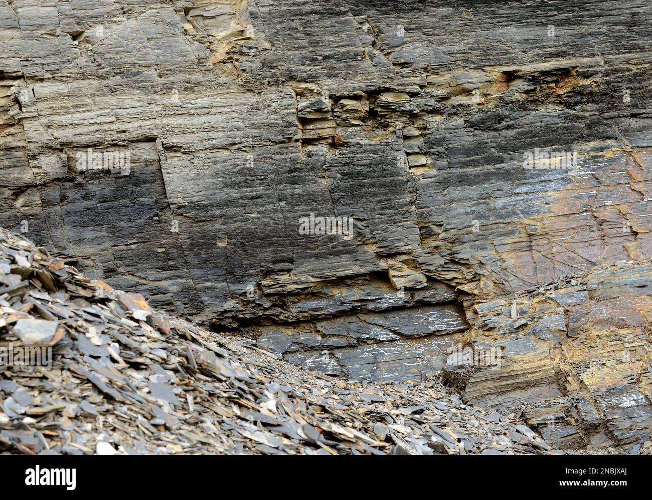 This outcropping of Marcellus Shale shows a sample of joints that ...