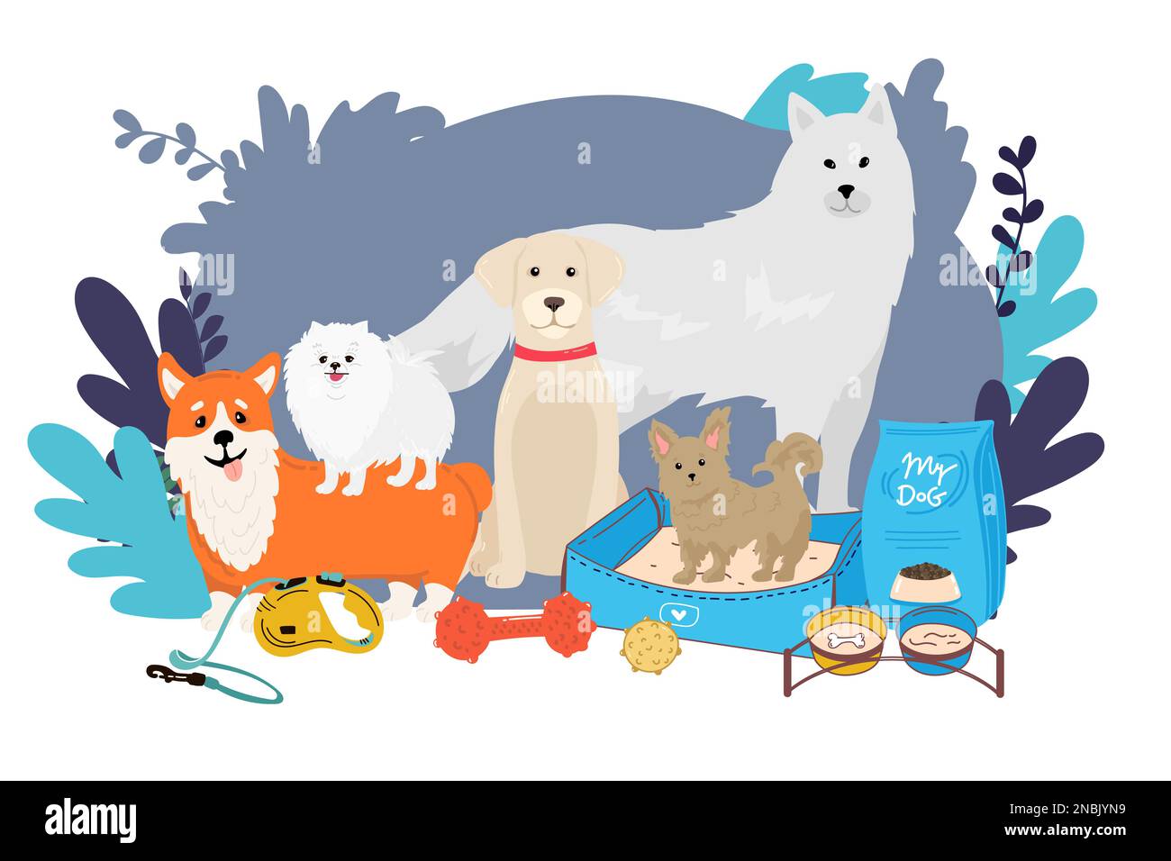 large dogs border set, front view spitz, french mastiff, labrador ...