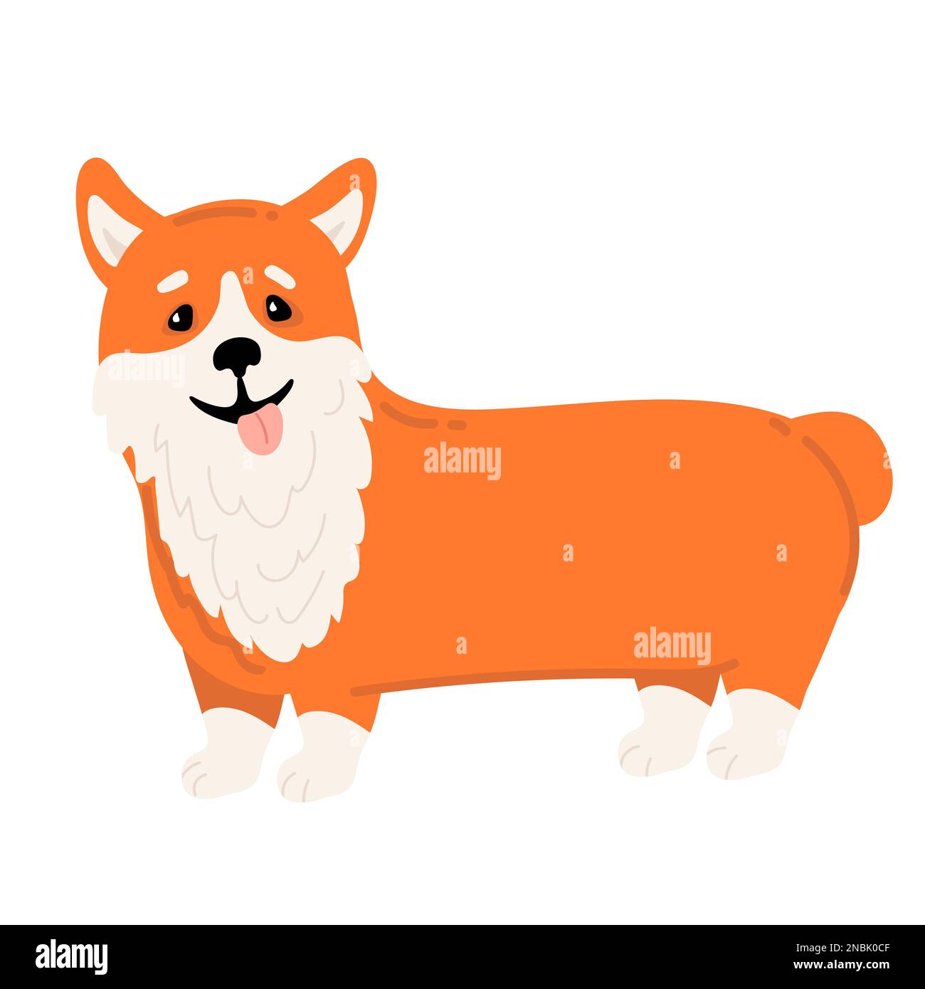 Corgi dog vector cartoon illustration. Cute friendly welsh corgi puppy ...