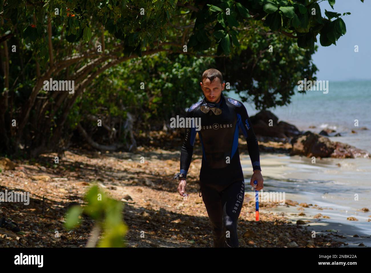 Marine biologists and volunteers at Marine Conservation Cambodia ...