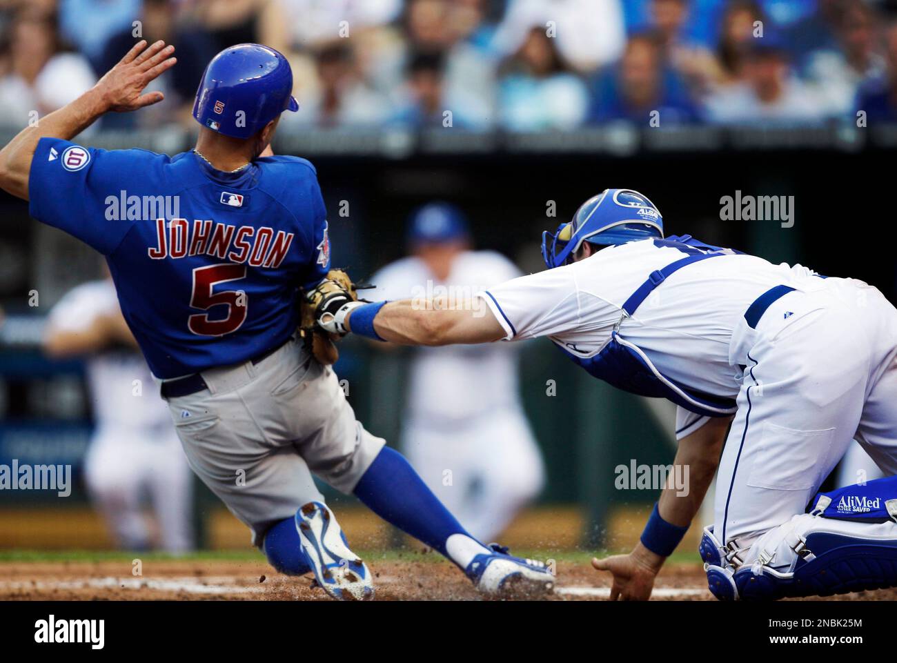 Chicago Cubs' Reed Johnson (5) is tagged out by Kansas City Royals ...