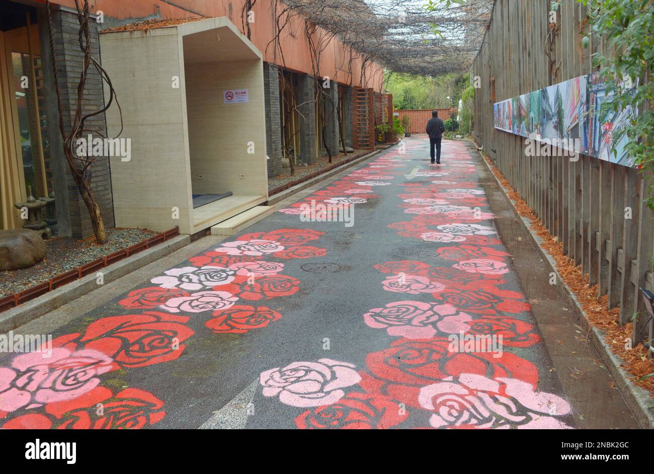 A 99-meter "rose path" attracts people to visit in Hongkou District ...