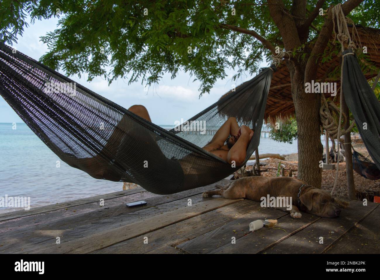 Marine biologists and volunteers at Marine Conservation Cambodia ...
