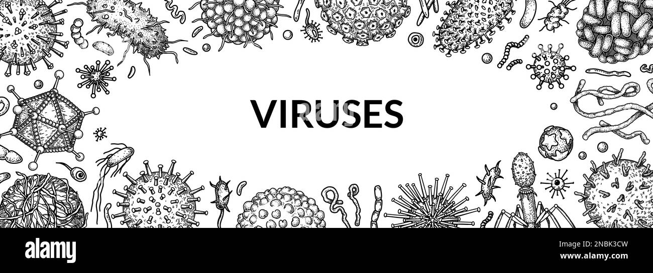Virus horizontal background in sketch style. Hand drawn bacteria, germ ...