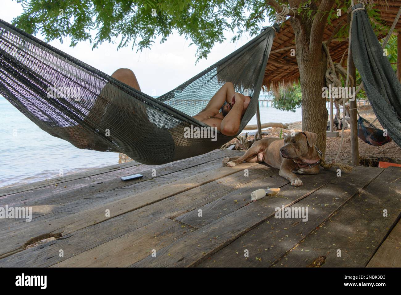 Marine biologists and volunteers at Marine Conservation Cambodia ...