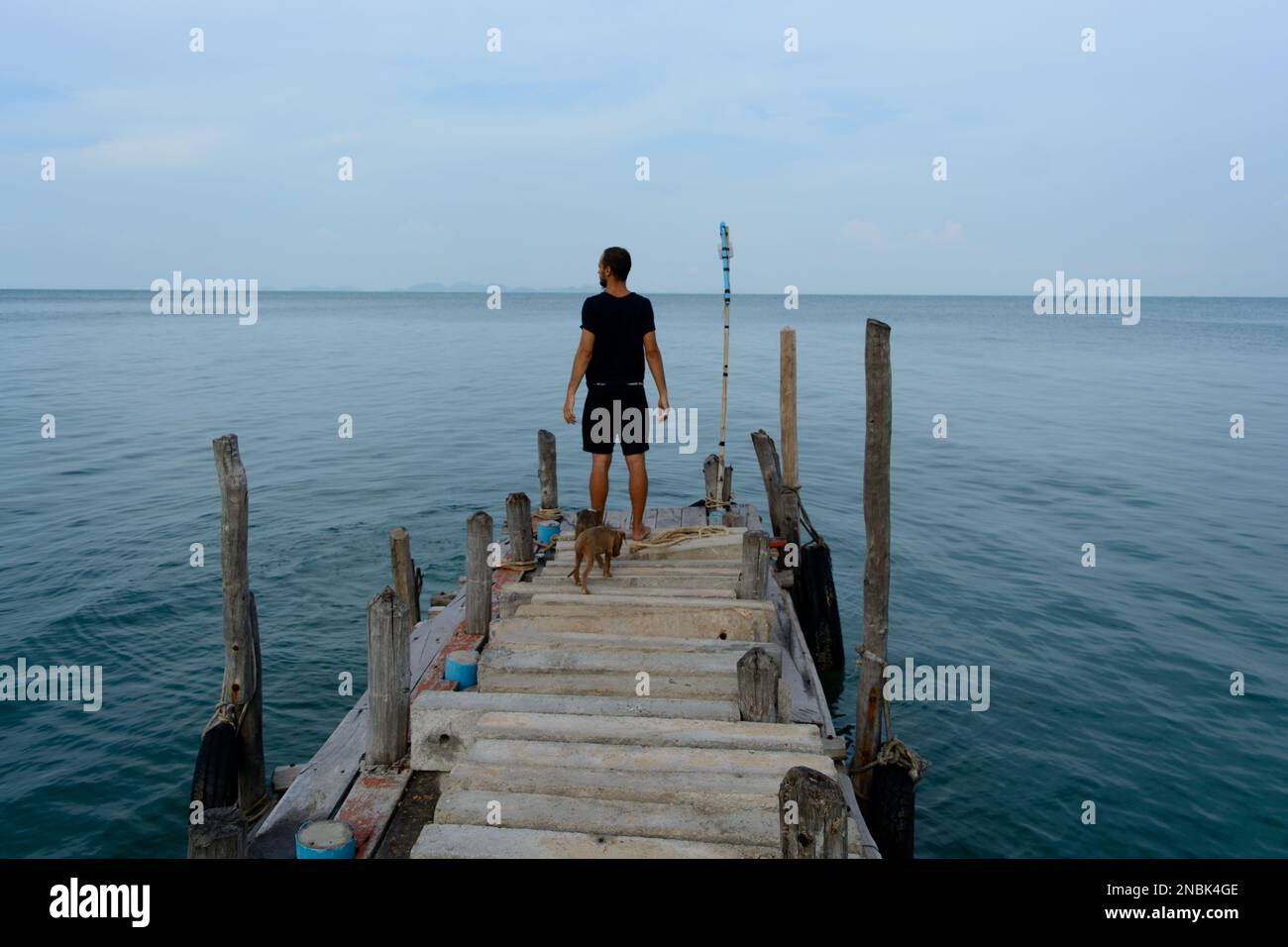 Marine biologists and volunteers at Marine Conservation Cambodia ...