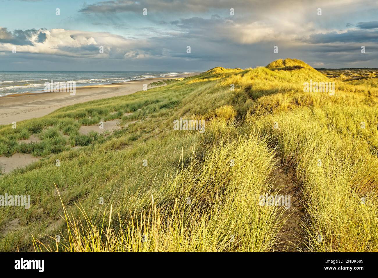 A beautiful sandy path along the ocean in the dunes. North Holland dune ...