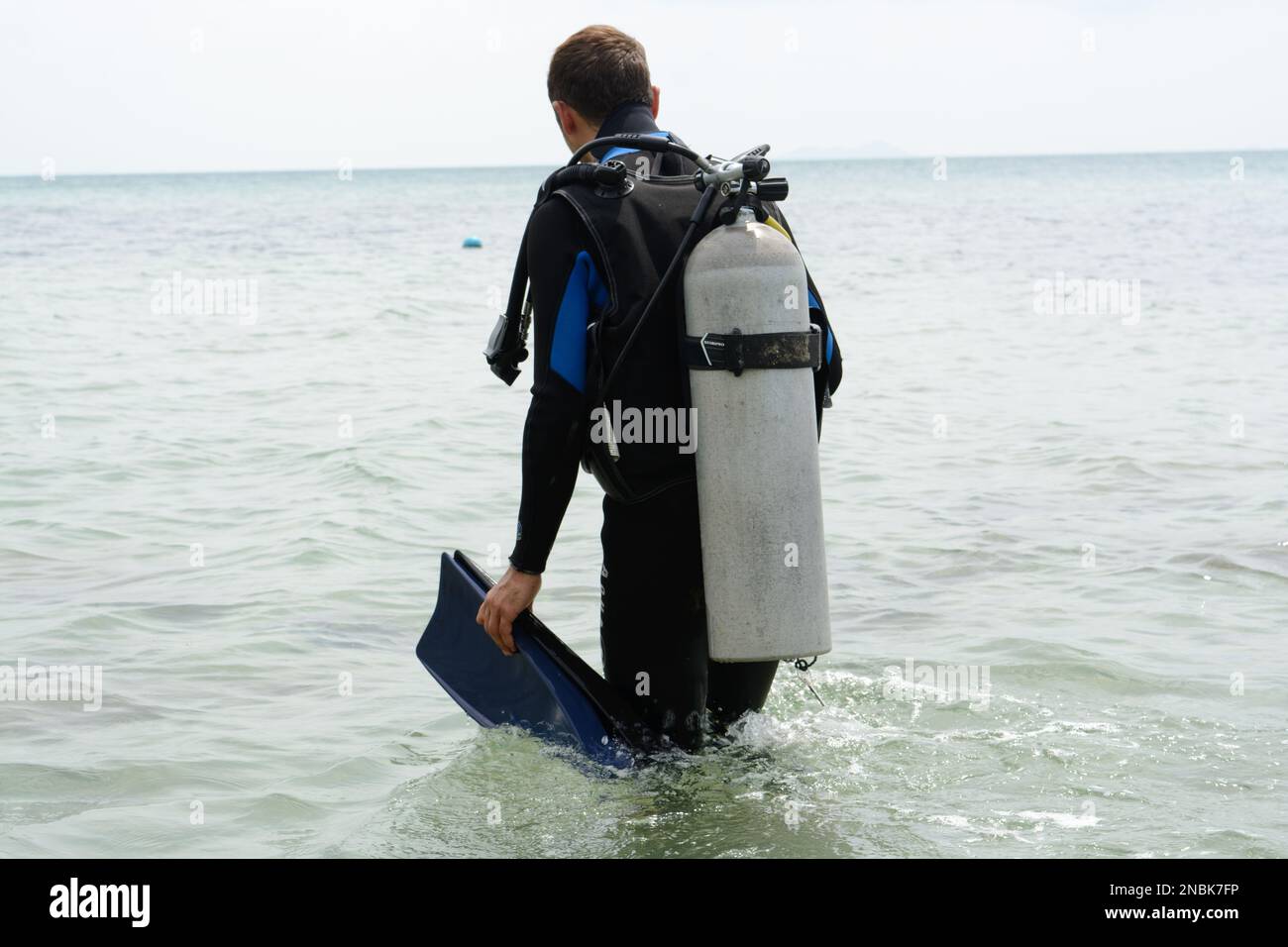Marine biologists and volunteers at Marine Conservation Cambodia ...