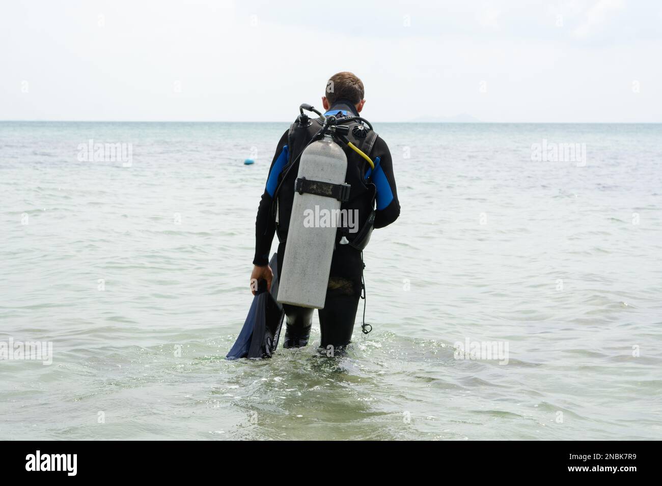 Marine biologists and volunteers at Marine Conservation Cambodia ...
