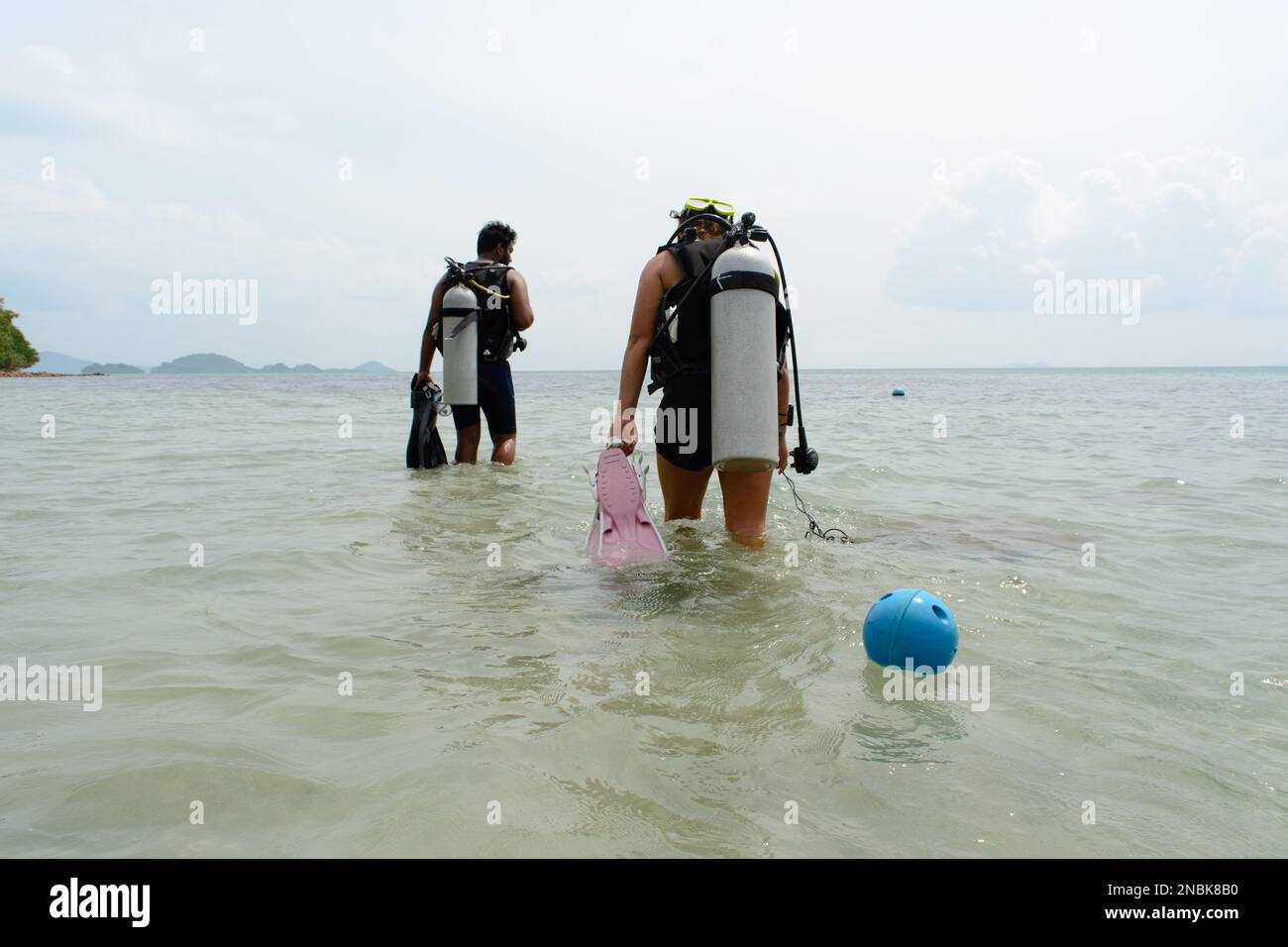 Marine biologists and volunteers at Marine Conservation Cambodia ...