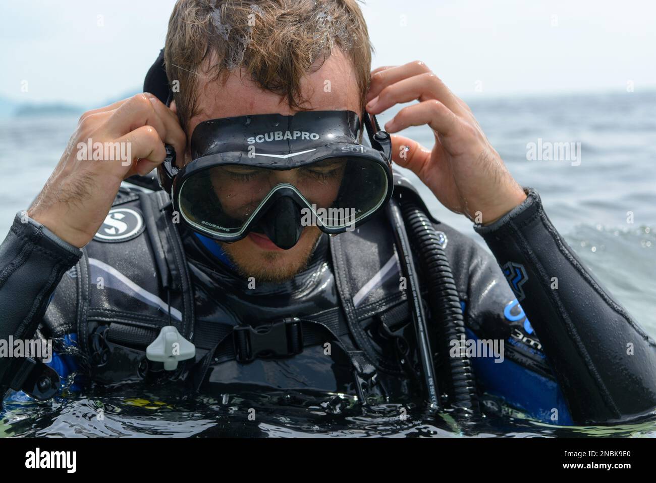 Marine biologists and volunteers at Marine Conservation Cambodia ...