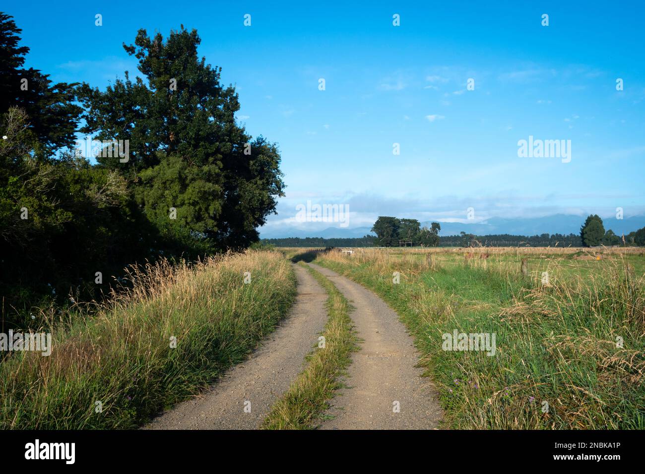 Farm track, Takapau, Central Hawkes Bay, North Island, New Zealand ...