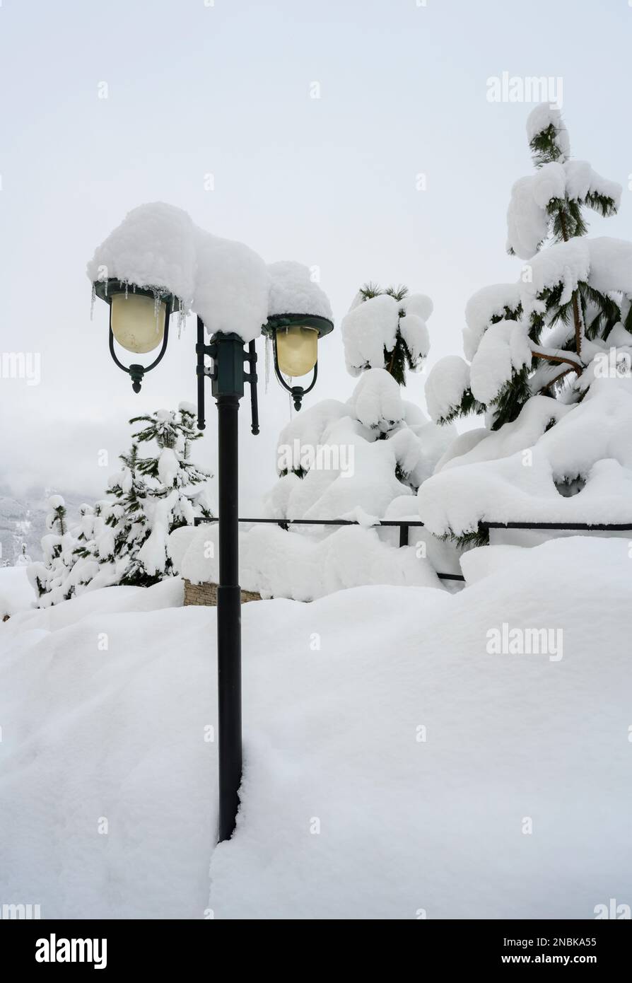 Lantern in icecles thickly covered with snow next to spruce trees ...